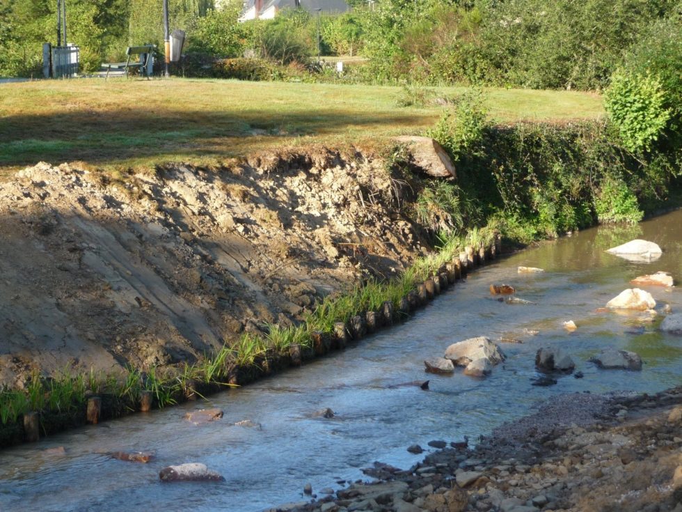 Travaux environnementaux | Agrioservices